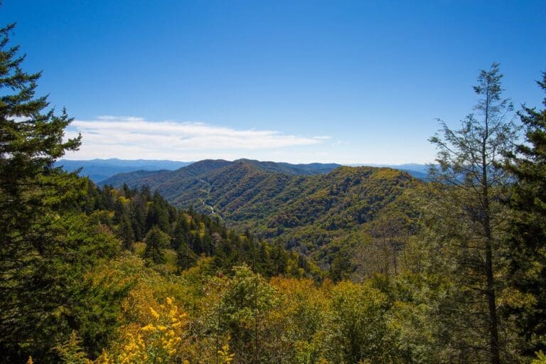 Newfound Gap Webcam - Explore Tennessee | Tours | Gatlinburg | Pigeon ...